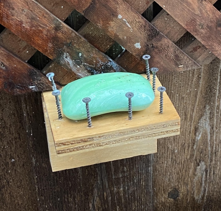 Những ý tưởng hài hước để đối phó với thực tế của hội người 'nhanh trí'