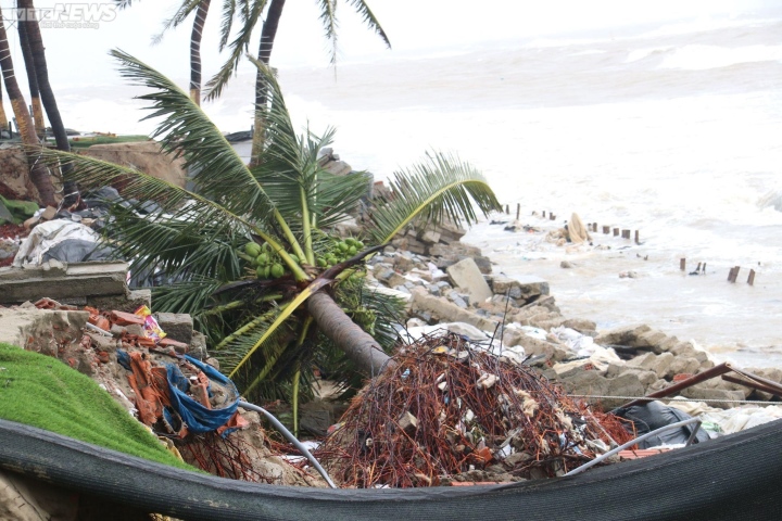 Trực tiếp: Những hình ảnh tan hoang sau bão sáng 28/9