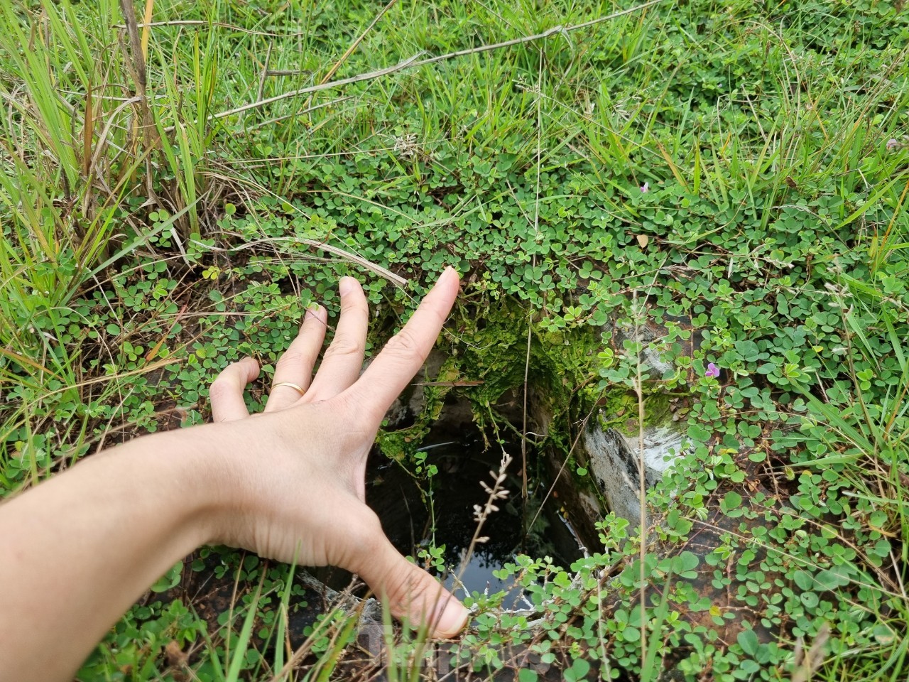 Chi chít hố trụ bê tông 'giăng bẫy' trên bãi đất trống ở Đà Nẵng