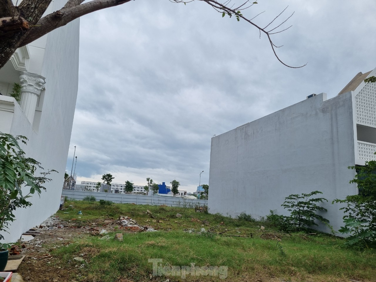 Chi chít hố trụ bê tông 'giăng bẫy' trên bãi đất trống ở Đà Nẵng