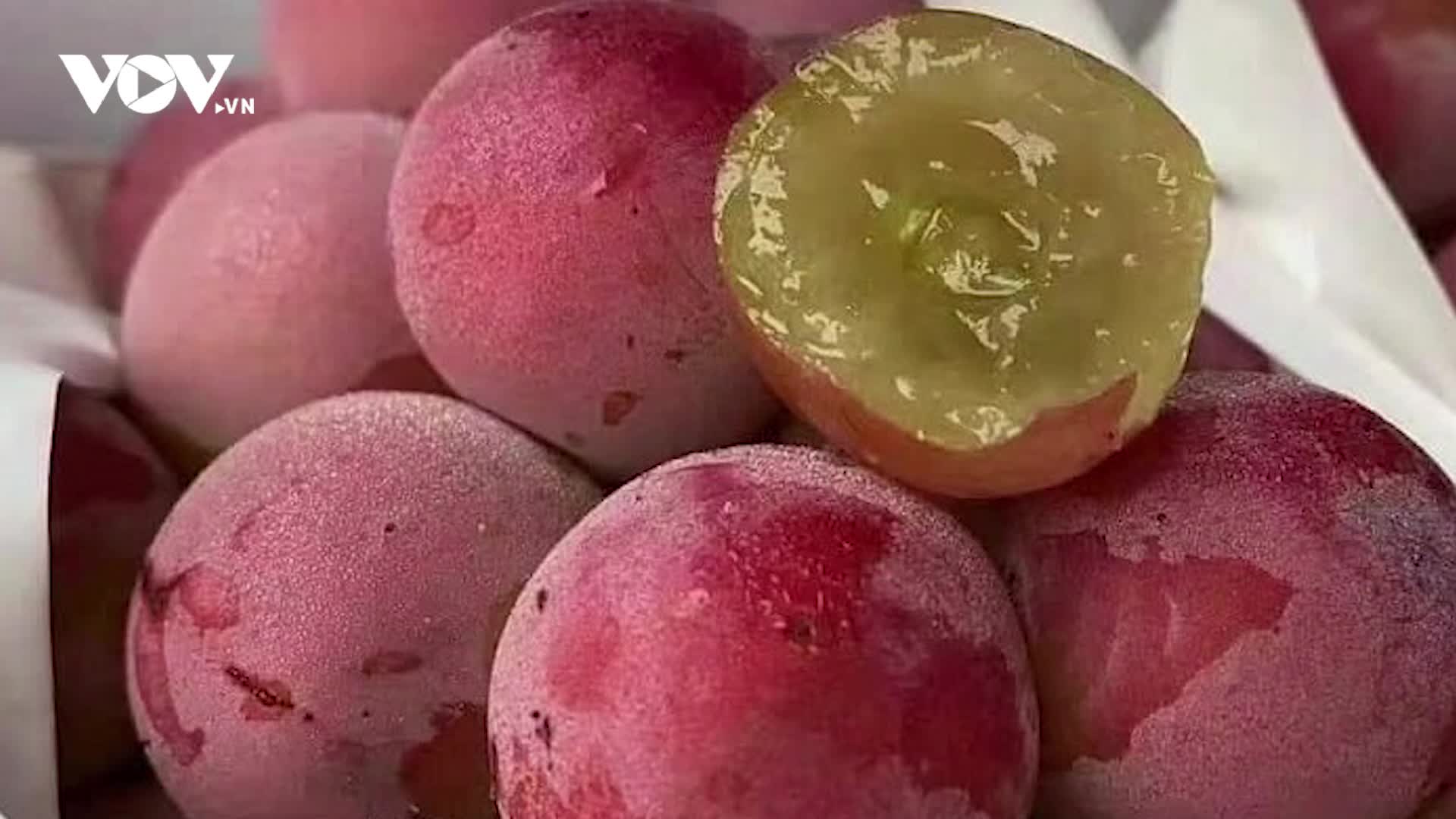 Nho đắt nhất thế giới 250 triệu đồng/chùm giờ rẻ như cho VIDEO CLIP ...