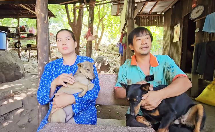 Được đàn chó hoang cứu mạng, người đàn ông chuyển lên "núi cấm" ở, sau ...
