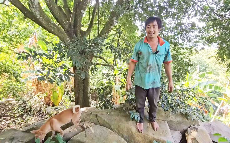 Được đàn chó hoang cứu mạng, người đàn ông chuyển lên "núi cấm" ở, sau ...