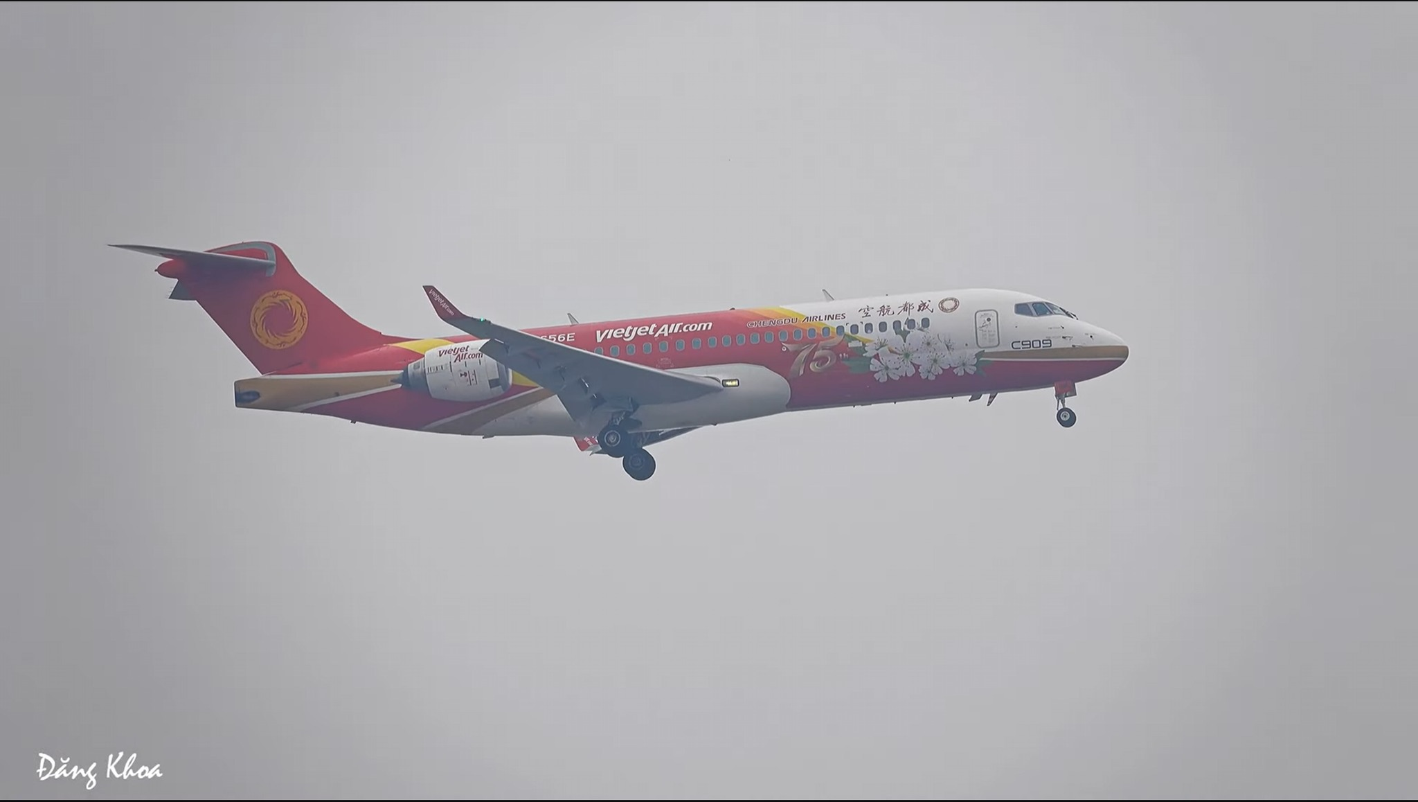 Chiếc máy bay Vietjet lạ trên tuyến Hà Nội - Côn Đảo: Sơn hình hoa ...