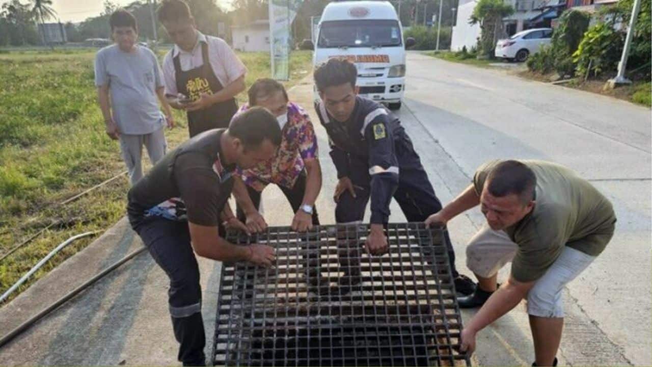 Nghe tiếng kêu dưới cống, người dân chạy tới thấy cảnh bất ngờ