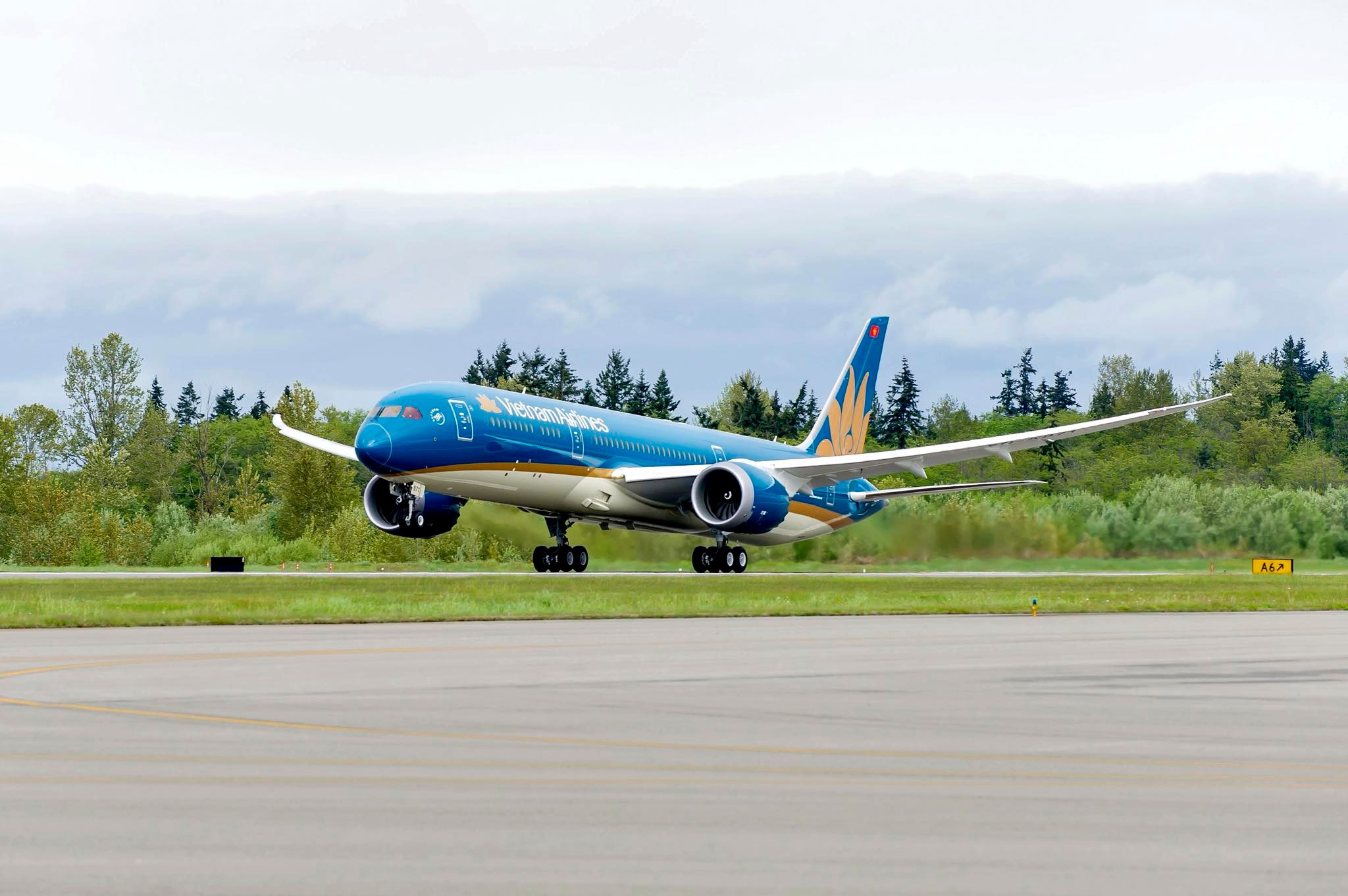 Một máy bay Vietnam Airlines quay đầu khẩn cấp sau khi cất cánh tại sân ...