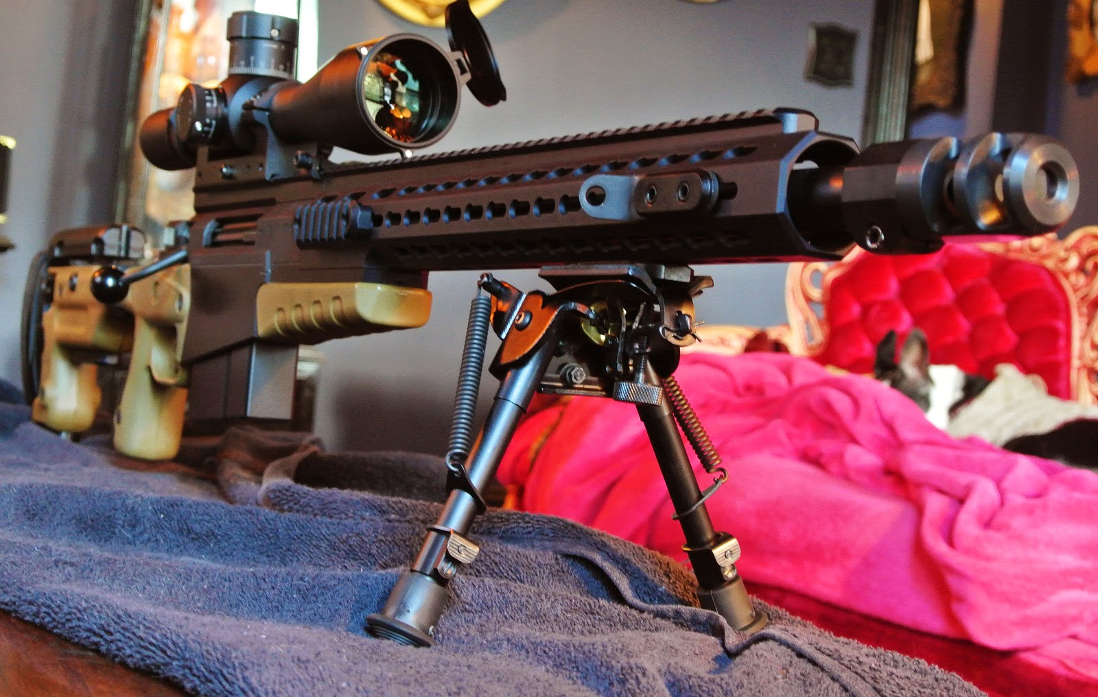 Các biến thể nổi tiếng của súng bắn tỉa Chiến trường vùng cực Bắc