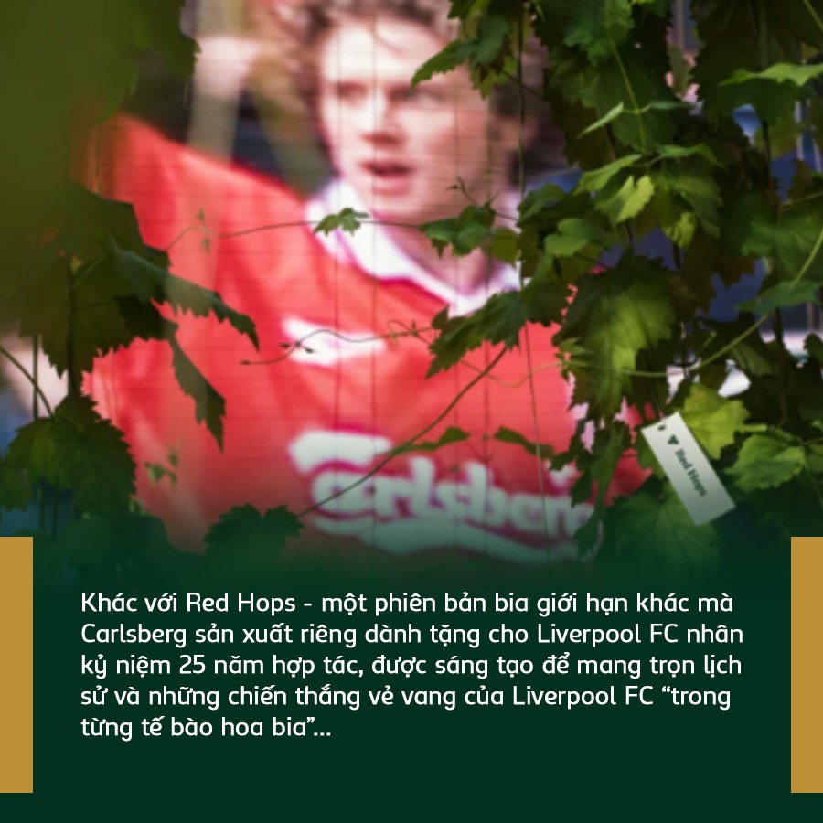 Carlsberg Red Barley - Khi sáng tạo được khơi nguồn từ hành trình đầy ...