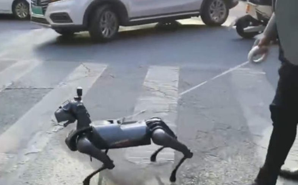 Thú vui mới của người Trung Quốc: nuôi chó robot làm cảnh, giá một con ...
