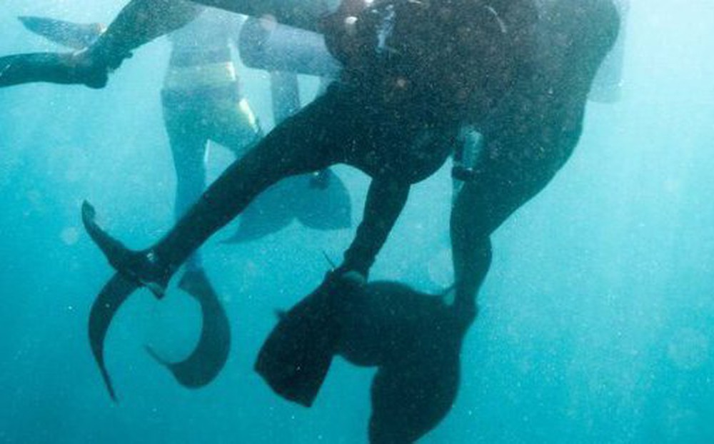 3 'nàng tiên cá' cứu một thợ lặn khỏi chết đuối ở California