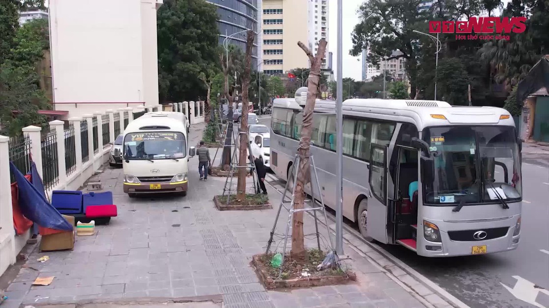 Hàng chục cây xanh chờ chết trên con đường trăm tỷ ở Thủ đô