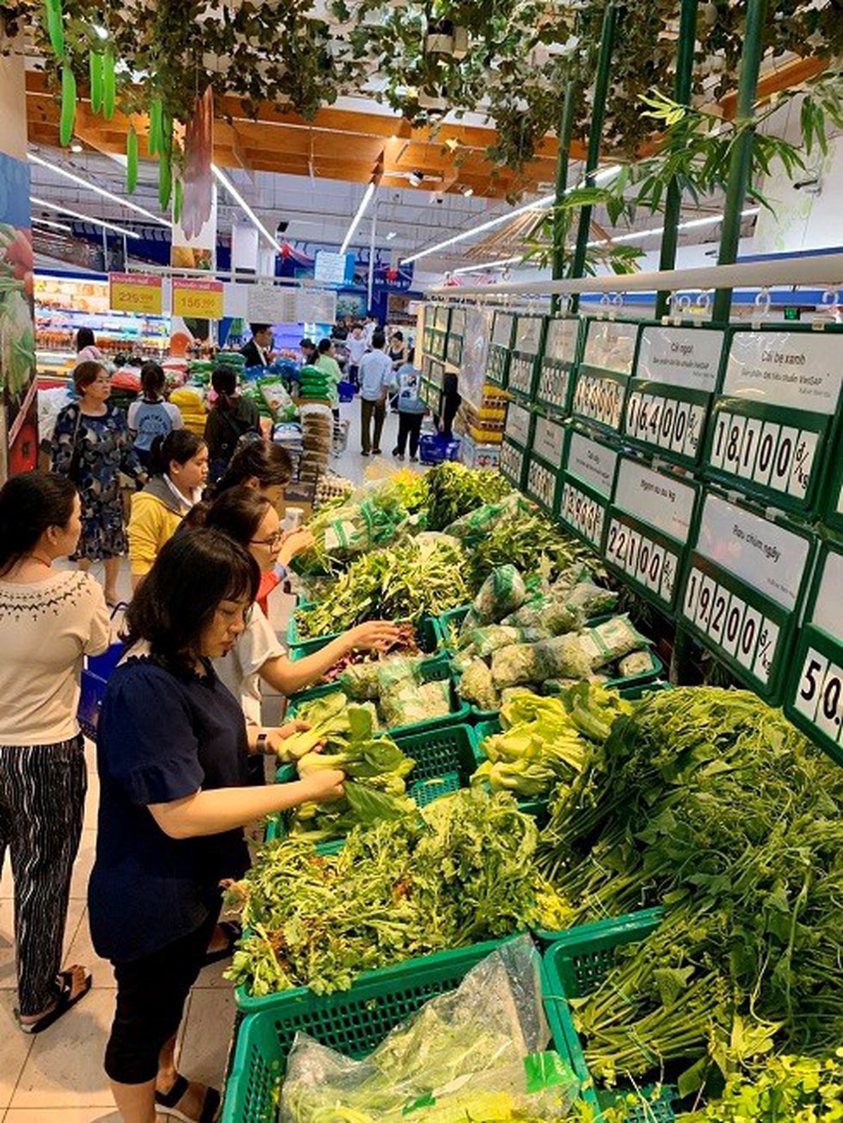 Bác sĩ Bệnh viện Bạch Mai giải thích lý do ăn nhiều rau nhưng tôi vẫn ...