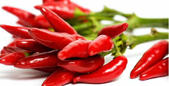 Quả ớt - tác dụng kỳ diệu