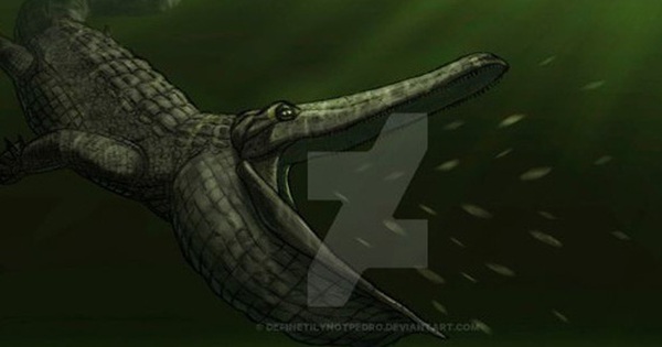 Stomatosuchus inermis: Loài cá sấu cổ đại có thể 'nuốt chửng cả thế giới'