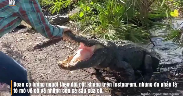 Cô gái cá sấu: “Đàn ông không dám hẹn hò với tôi”