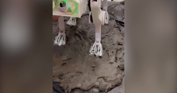 VIDEO: Robot chó cứu hộ có bàn chân vịt do học sinh TP HCM nghiên cứu