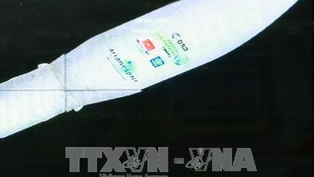 vệ tinh siêu nhỏ PicoDragon: Năm 2018, Việt Nam đưa vệ tinh quan sát ...